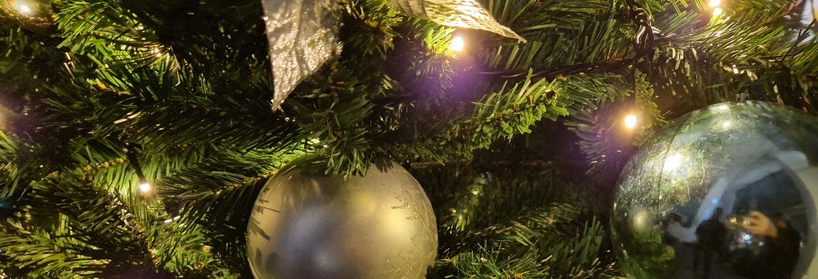 Children and Young People's Services Committees (CYPSC) - Interagency ...